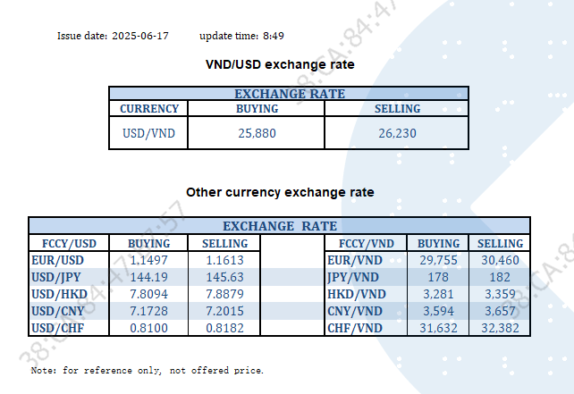 EXCHANGE RATE UPDATE 2025-06-17
